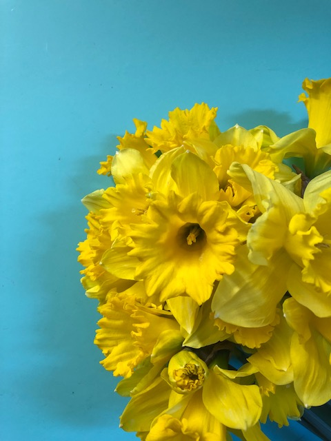 Christchurch Florist - Miss Feaver Florist -Cnr Hills rd and Edgeware ...